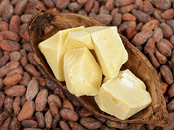 Cocoa Butter Improver – Cocoa butter equivalent – Trendfoods